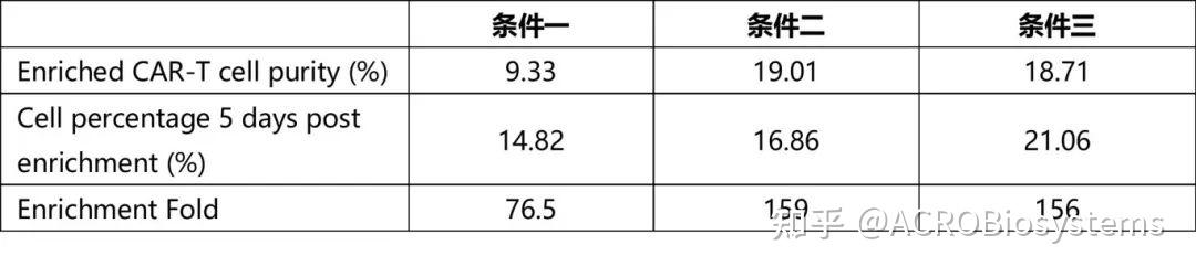 ActiveMax®靶点特异性激活磁珠：助力CAR细胞疗法高效富集与体外分析 - 知乎
