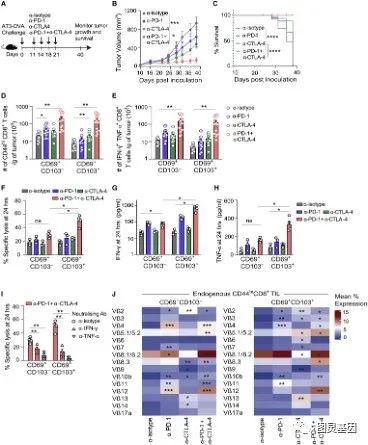 Cancer Cell ｜ 组织驻留记忆CD8+ T细胞介导乳腺癌局部免疫和免疫检查点反应 - 知乎