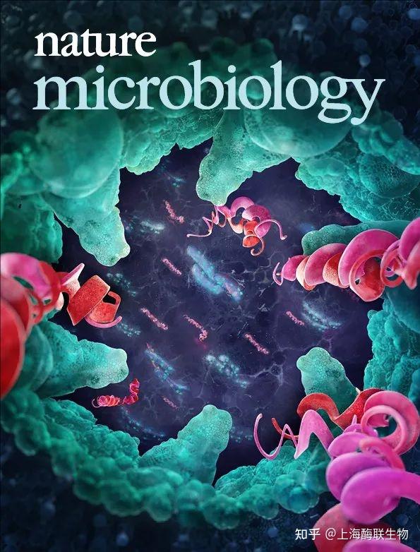 MLBIO丨酶联生物ELISA试剂盒产品SCI文献精选（2025.1） - 知乎