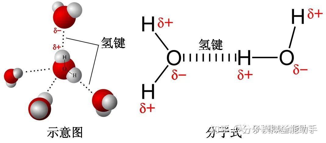 教程之LAMMPS输出轨迹用vmd后处理氢键 - 知乎