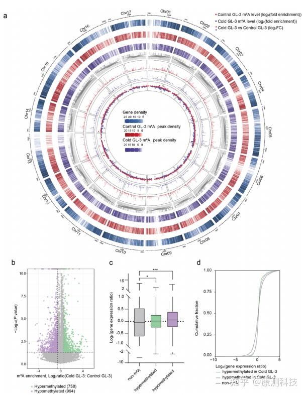 Adv. Sci.IF14.3|西北农大揭示MdDSK2a-Like-MdMTA模块通过m6A参与苹果低温胁迫响应的分子机制 - 知乎