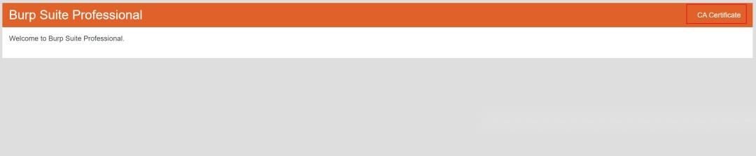 【Burp Suite】高版本安卓抓包解决方案 - 知乎