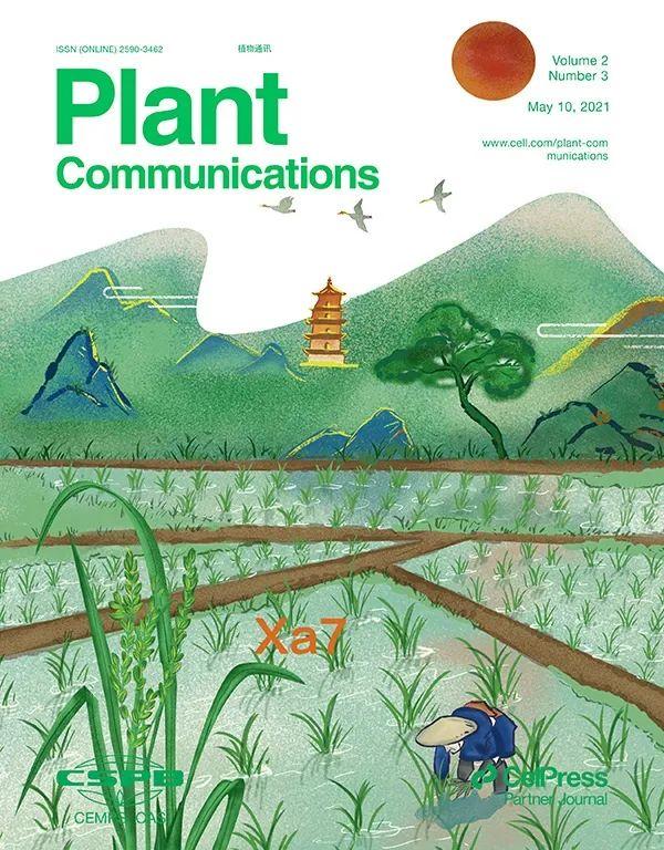 速！带你走进期刊封面的科学与艺术之美！ - 知乎