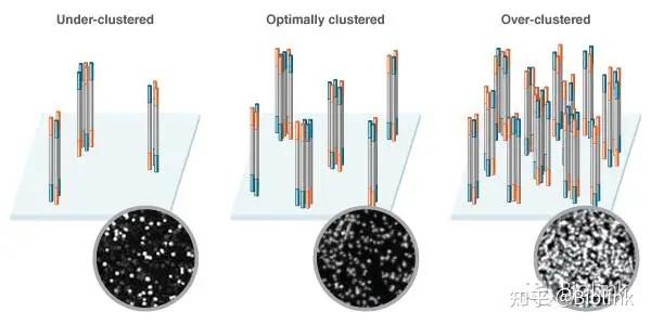 【跟我学NGS】高通量测序名词，那些高大上的英文缩写代表什么呀？ - 知乎