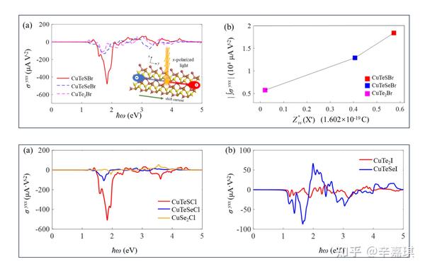 文献精析 体光伏效应：含五边形链状结构的二维热释电材料CuXX'Y - 知乎