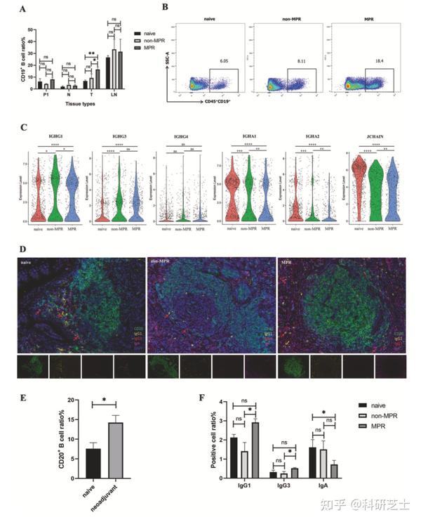 新辅助派姆单抗治疗和化疗患者免疫细胞单细胞水平综合分析打造9分+SCI - 知乎