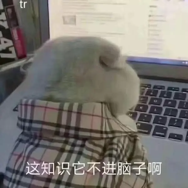 期末考试复习专用表情包哈哈哈哈，真的笑死，不说了，我去学习了！！！ 知乎