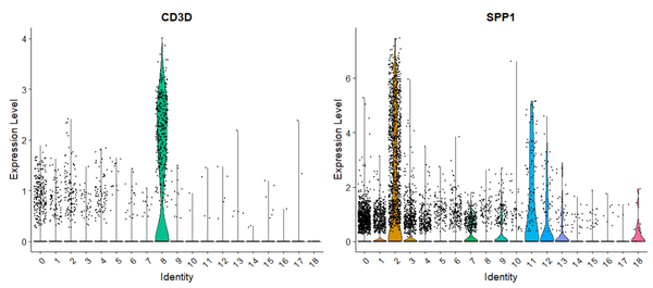scRNA分析| Seurat堆叠小提琴图不满足？ 那就ggplot2 堆叠 各种元素 - 知乎