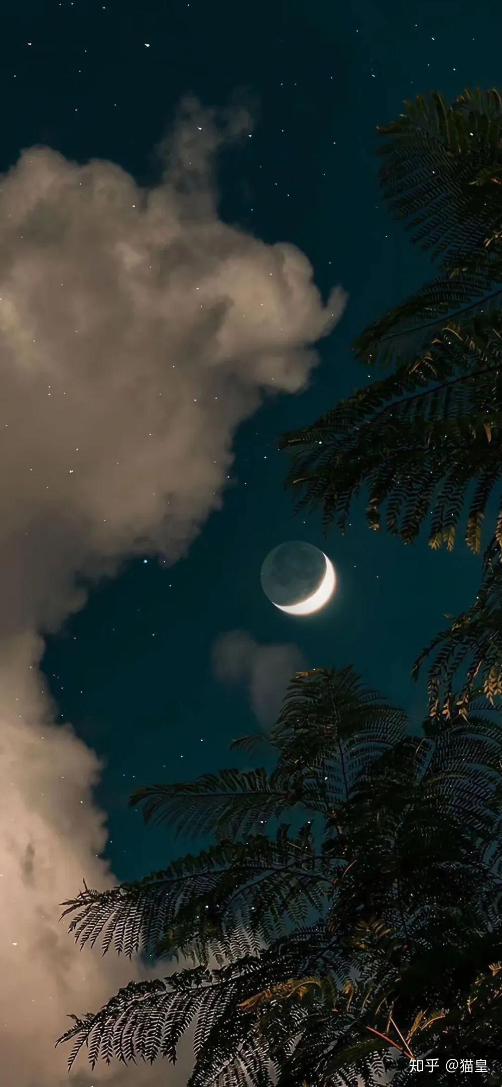 高清 4K壁纸 - 知乎