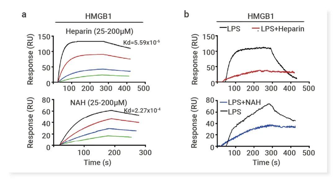 分子互作大比拼，SPR、ITC、MST、BLI，谁才是最强王者？| MedChemExpress (MCE) - 知乎