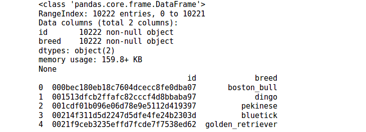 PyTorch手把手自定义Dataset读取数据 - 知乎