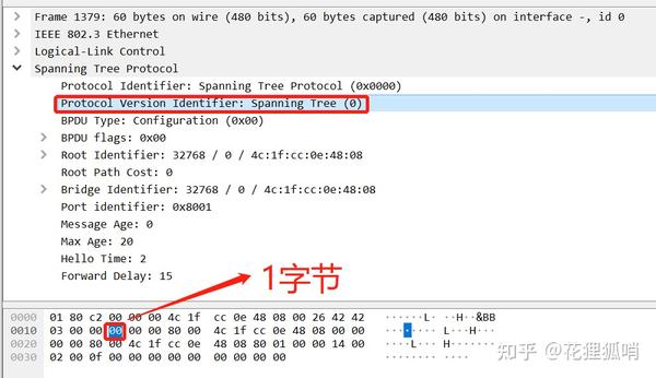 STP报文格式 - 知乎