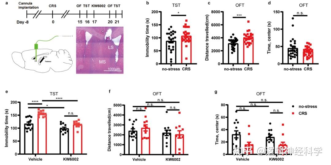 Nat Commun︱温州医科大学陈江帆/郭卫团队揭示外侧隔区腺苷A2A受体调控抑郁样行为的神经环路机制 - 知乎