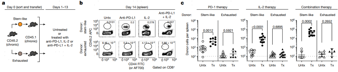 单细胞技术揭示PD-1联合IL-2治疗可改变CD8 T细胞衰竭程序 - 知乎