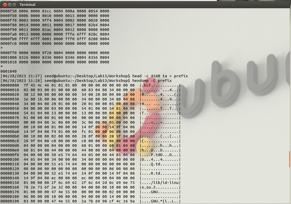 漏洞分析 Lab13 MD5 Collision Attack Lab - 知乎