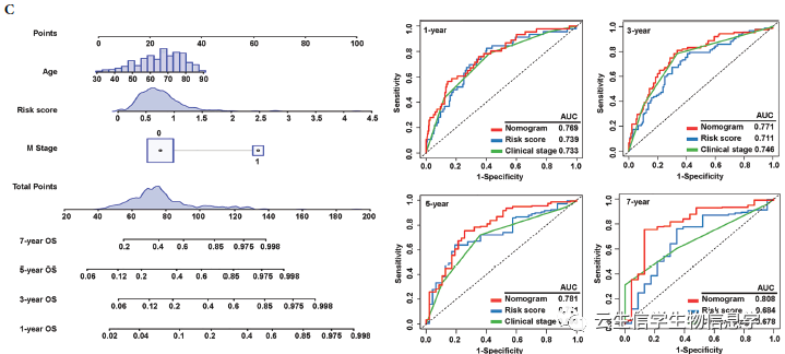 Cell和Nature共同关注“唾液酸化”，做生信超赞！lncRNA预后模型+实验=8分+，附带“唾液酸化”基因集合，可直接复现 - 知乎