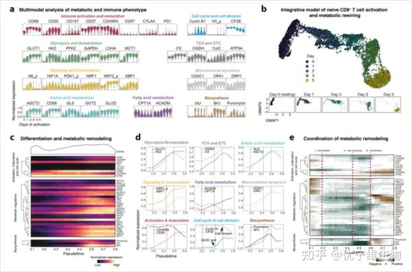 两篇高分文献带您了解质谱流式(CyTOF)的应用 - 知乎