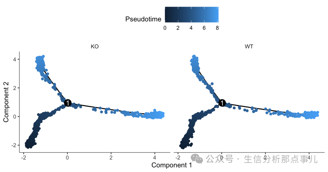 一篇代码搞定monocle2的所有可视化 - 知乎