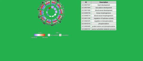 【实战】circleplot展示GO富集分析结果—附R代码 - 知乎