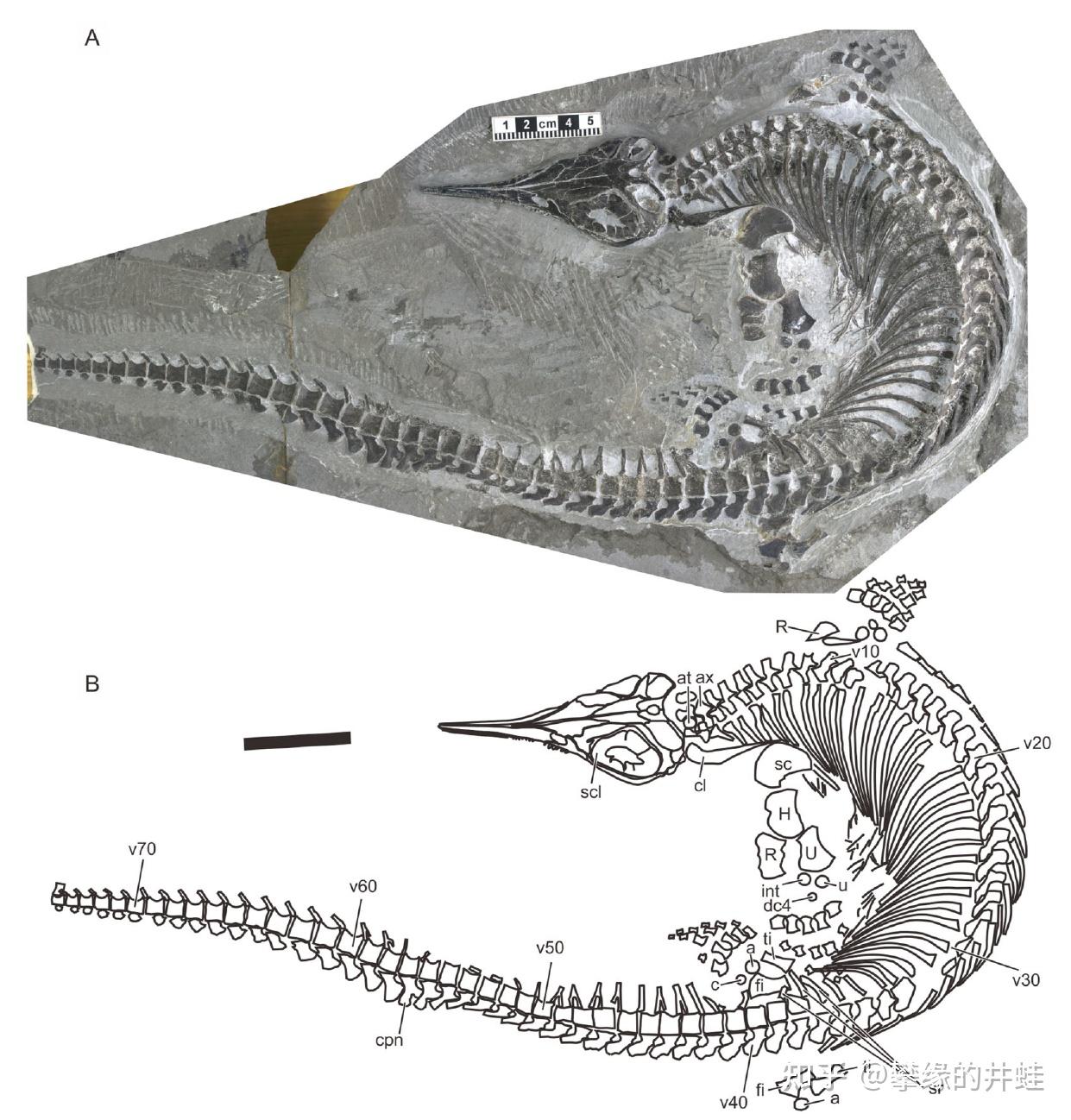 第二百八十六回 幽蓝幻想曲2：逼近的暗影 - 知乎