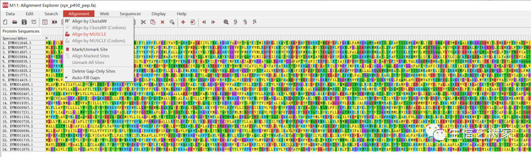 TBtools | 基因家族分析 (进化树、Motifs、结构域) - 知乎