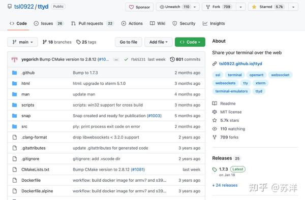 使用 Docker、Nginx 和 ttyd 提供稳定的 Web 终端服务 - 知乎