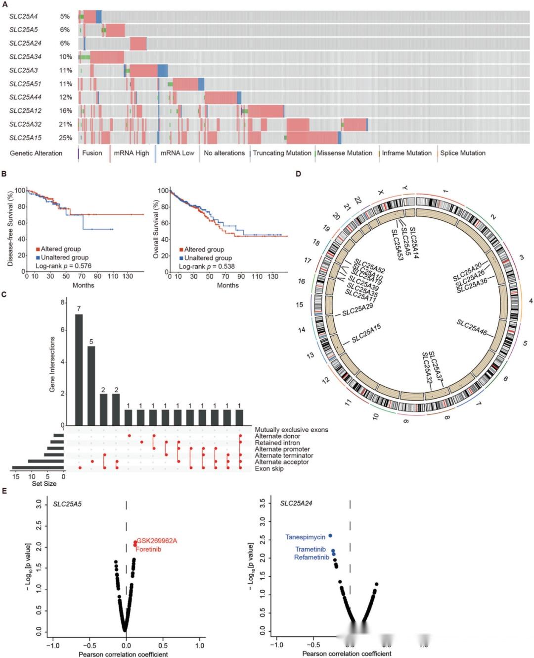 单基因玩腻了？要不试试基因家族？基因家族单肿瘤SCI新玩法！ - 知乎