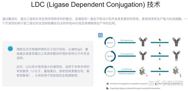2023AACR Trop2进展：启德、恒瑞对标第一三共 - 知乎