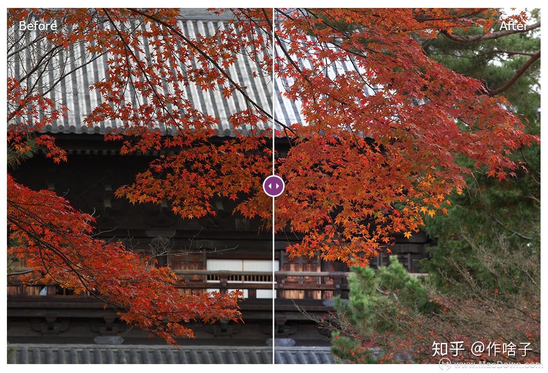 SILKYPIX Developer Studio Pro 10 (RAW数码照片处理) - 知乎