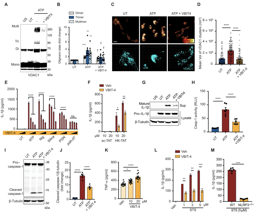 Science Immunology丨己糖激酶从线粒体解离促进 VDAC 寡聚化，从而促进 NLRP3 炎性体组装和激活 - 知乎