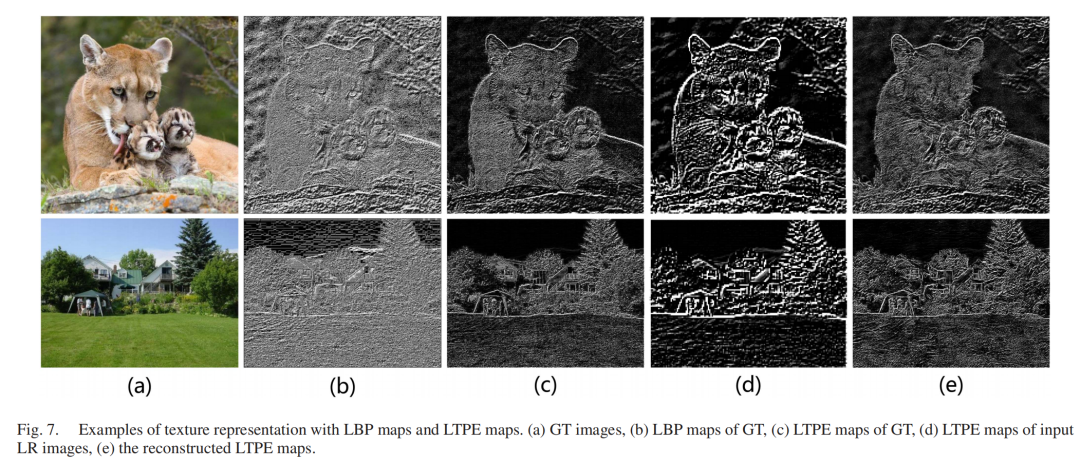 TPAMI 2025 | 图像超分新范式：LTPE 以局部纹理分布约束，兼顾视觉质量与参数效率 - 知乎