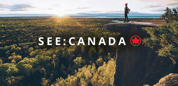 华人亲荐！来加拿大生子不可错过的8大本土美食 - 知乎