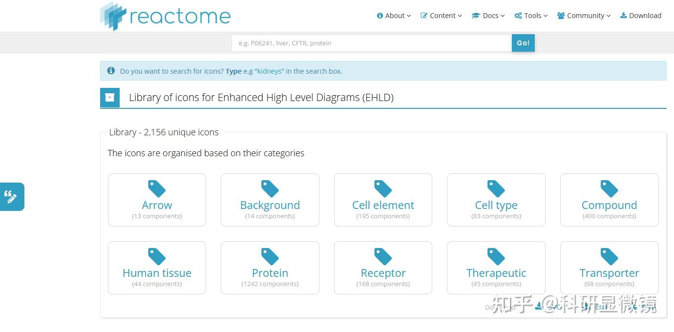 SCI写作-教你从reactome免费下载AI模式图现成素材 - 知乎