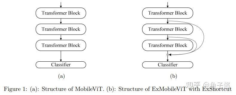 ViT再升级！9个视觉transformer最新改进方案让性能飞跃 - 知乎