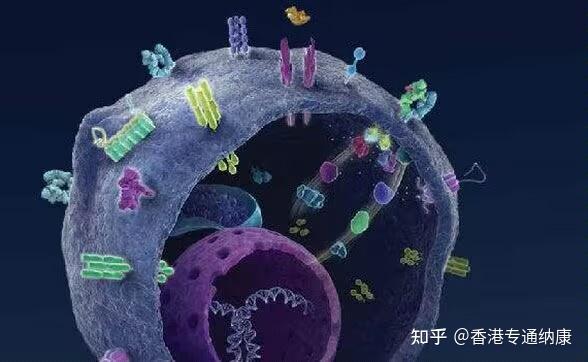 DS8201(Enhertu)获批HER2阳性非小细胞肺癌中国临床试验招募 - 知乎