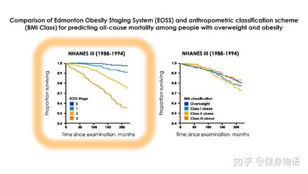 埃德蒙顿肥胖分期系统（EOSS） - 知乎