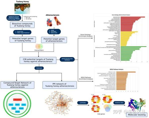 纯网络药理学+分子对接发5+ - 知乎