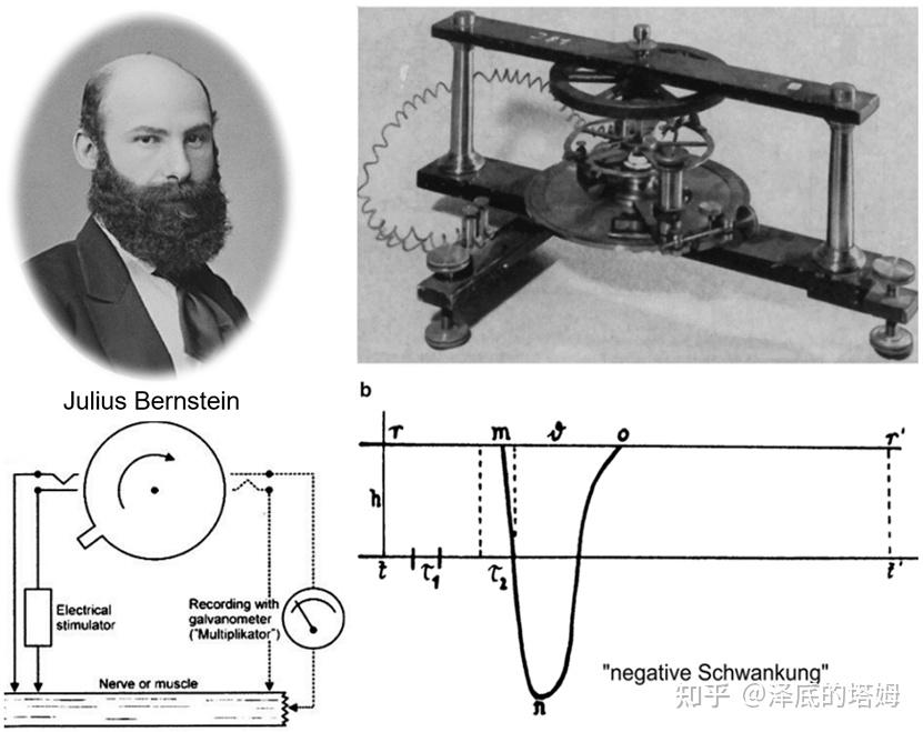 膜片钳发展历史简介 - 知乎
