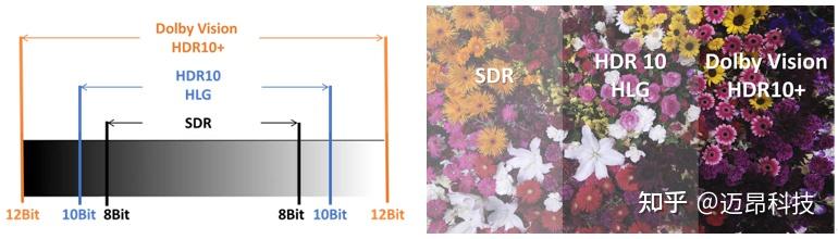 HDR10和Dolby Vision图像具体参数测量 - 知乎