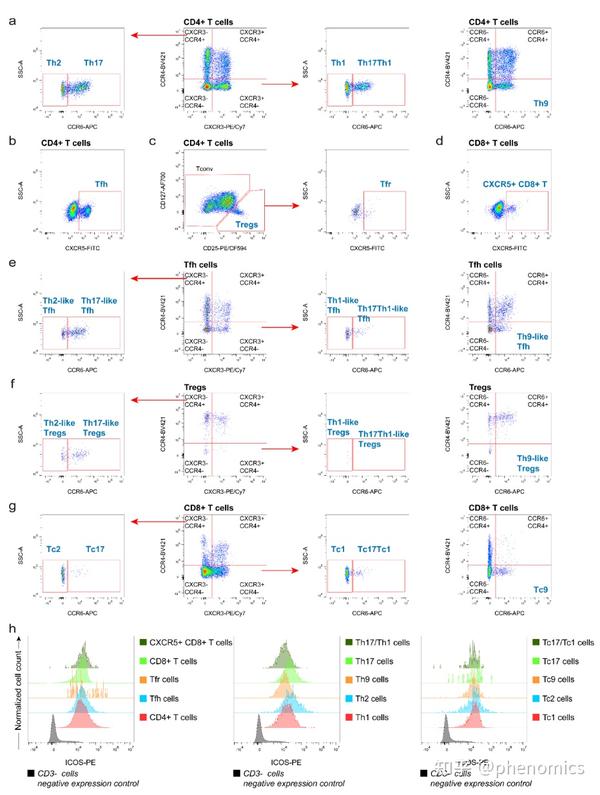 Phenomics|复旦大学钱峰团队发表文章：标准化多参数流式细胞术深度解析人体免疫细胞表型的新方案 - 知乎