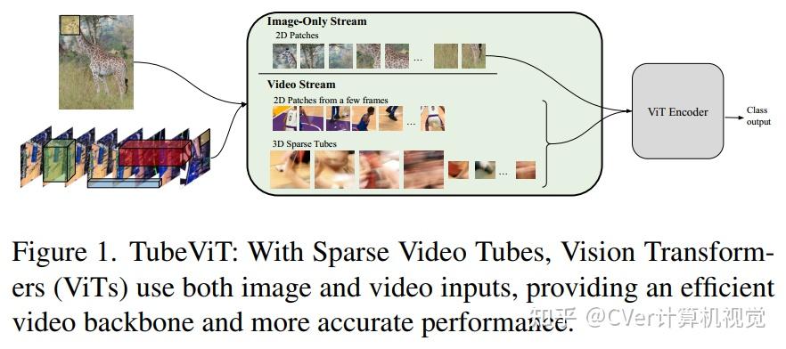 屠榜各大视频理解数据集！谷歌提出TubeVit：联合图像和视频学习的稀疏视频Tubes - 知乎