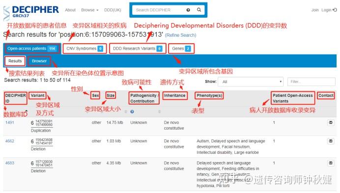 Decipher v9.26数据库使用方法 - 知乎
