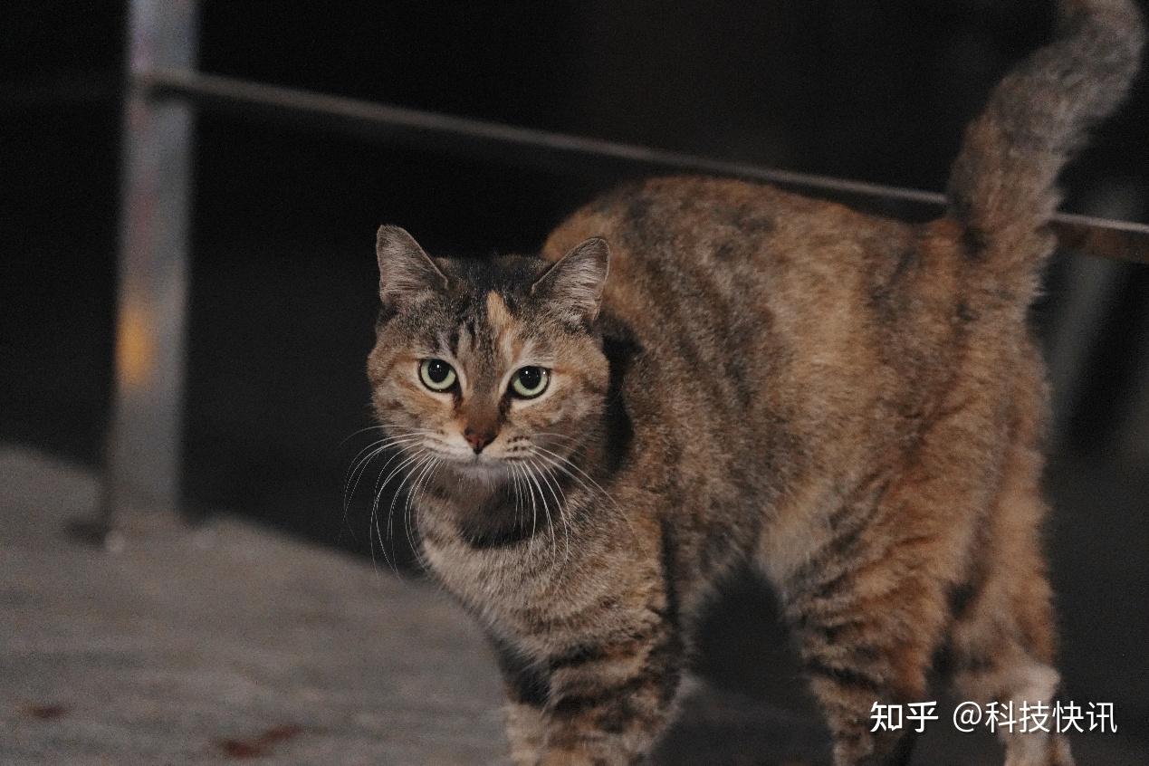 AI 赋能的全能创作利器 索尼 a7m5 全画幅微单测评 - 知乎