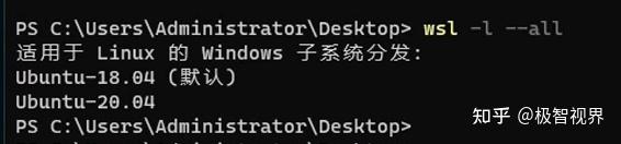 极智开发 Win11 Wsl2 Docker Vscode开发环境构建 知乎