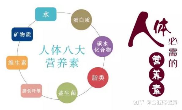 欧米伽 3（α 亚麻酸）是人体必需脂肪酸，真的 必需”吗？ 知乎