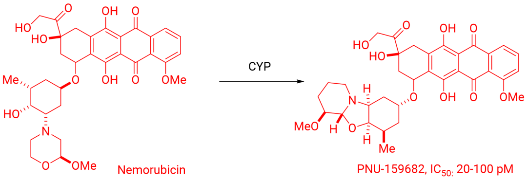 ADC有效载荷（Payload）的发展及其药代动力学考量 - 知乎