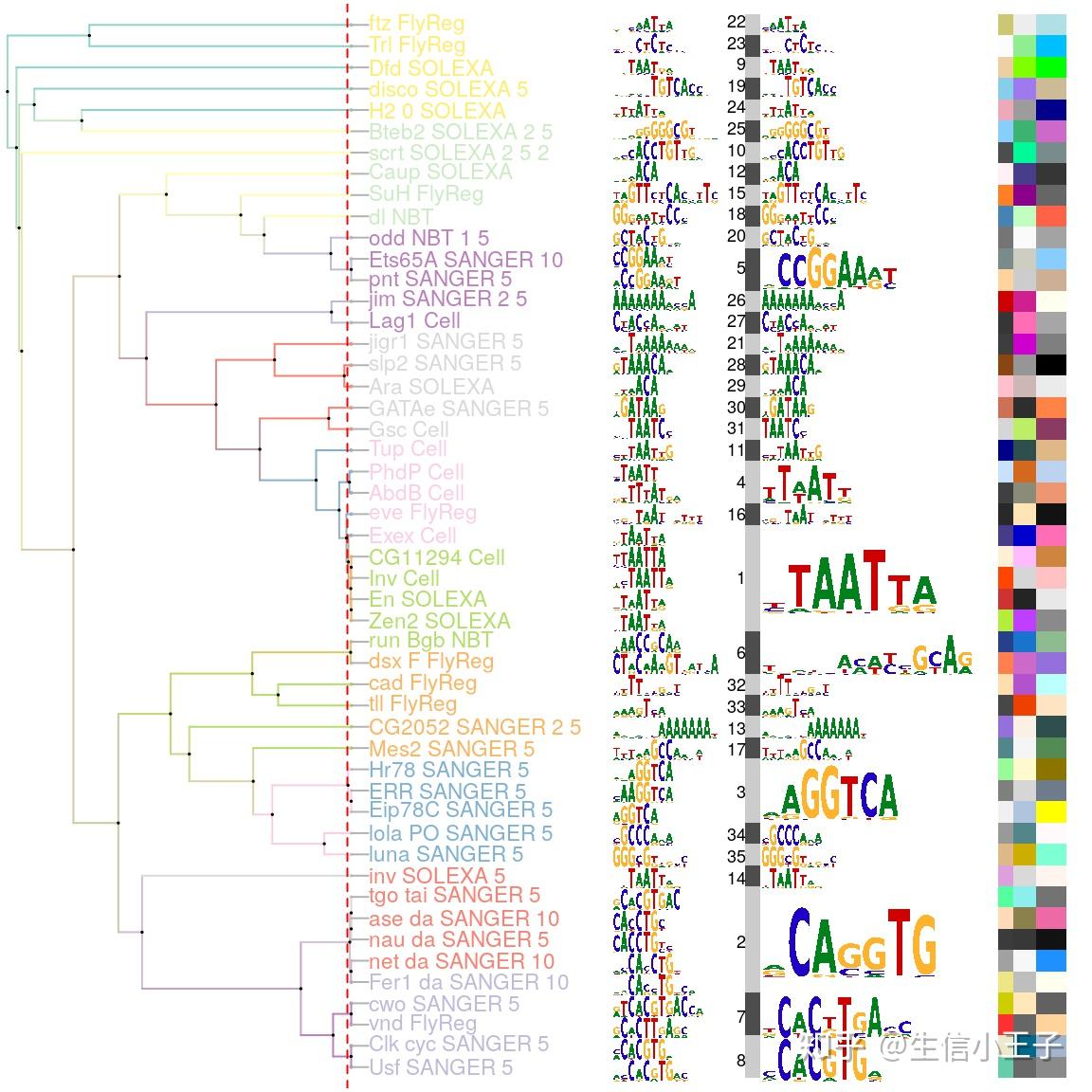motifStack | 绘制motif序列结构图 - 知乎