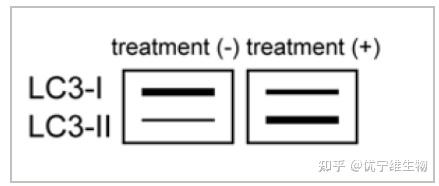 【小优细节君】LC3 Western结果分析大揭秘！ - 知乎