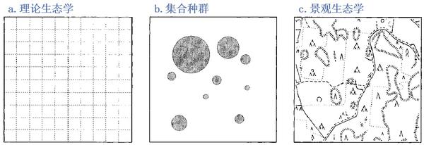 100条生态学笔记 15100 集合种群动态 知乎