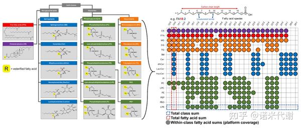 【Circulation】IF39.9！血浆脂质组大样本如何设计研究方案 - 知乎